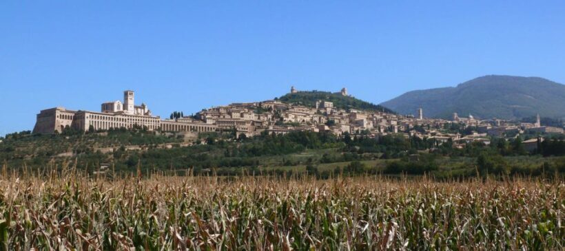 Assisi: Walking Tour with St. Francis Basilica Visit - Who Should Book This Tour?