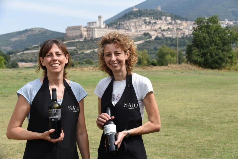 Assisi: Wine tasting, gourmet pairing, walk in the vineyards - An In-Depth Look at the Vineyard of Assisi Experience