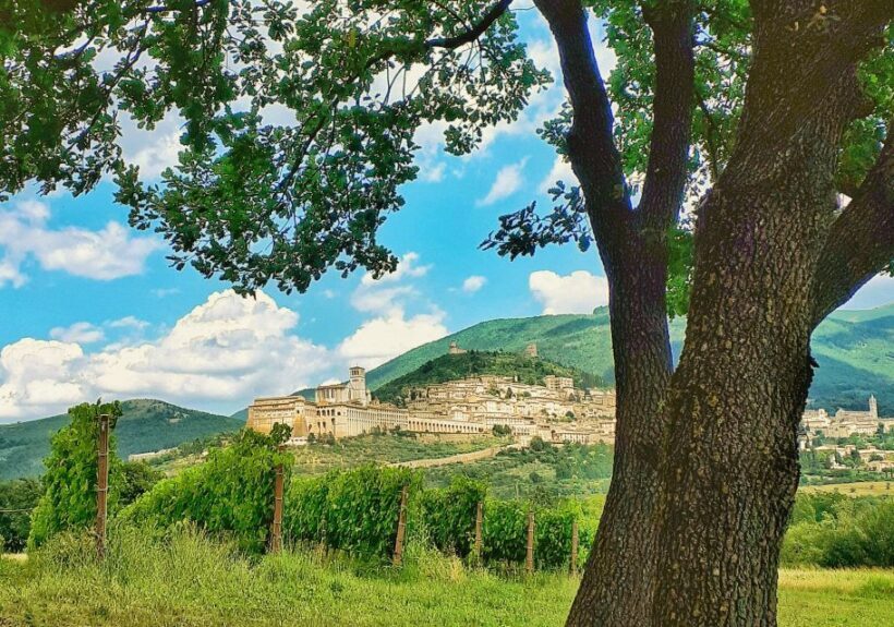 Assisi: Wine tasting, gourmet pairing, walk in the vineyards - Final Thoughts: Is It Worth It?