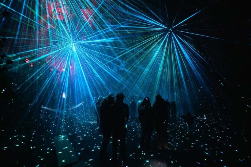 Astra Lumina Entry at Currumbin Wildlife Sanctuary - Key Points