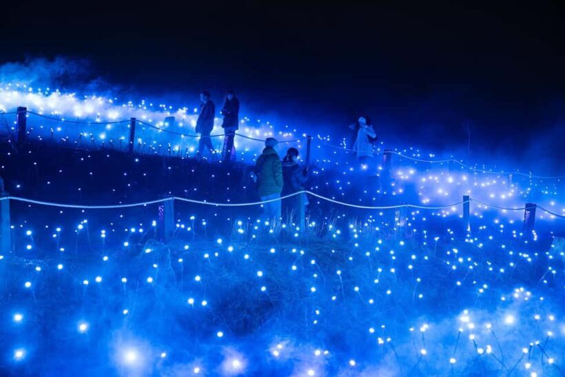 Astra Lumina Entry at Currumbin Wildlife Sanctuary - Final Thoughts