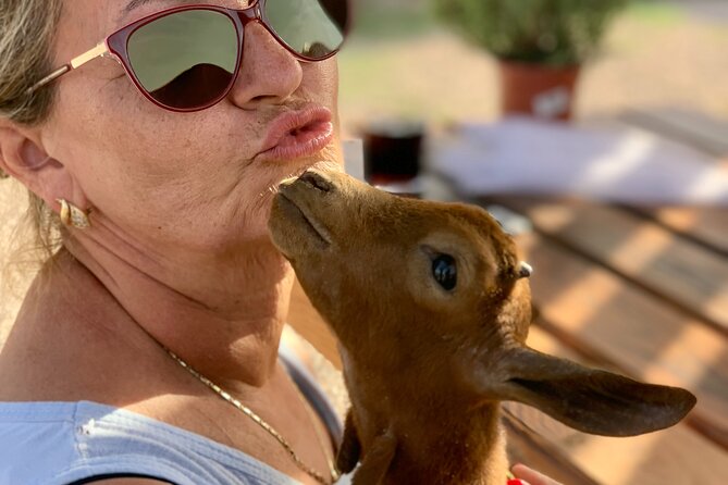 Astronomy Night in Finca Astronomica - FAQ