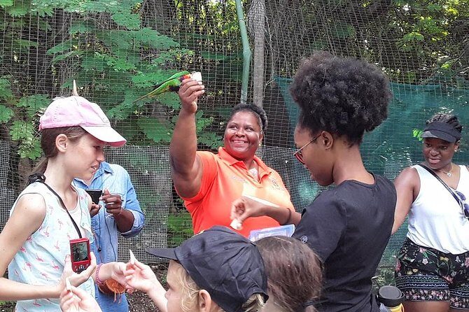 At YOUR Pace Private Tours V.I.P - Nassau, Bahamas - FAQ