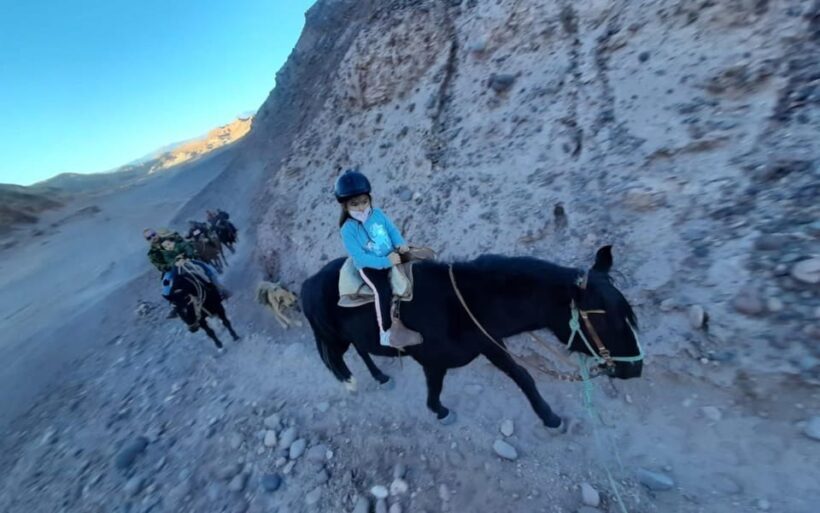 Atacama Desert: Horseback Adventure with Scenic Views - FAQ