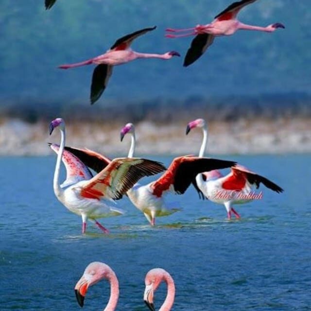 Atacama, Rutas de Los Salares - The Value Proposition