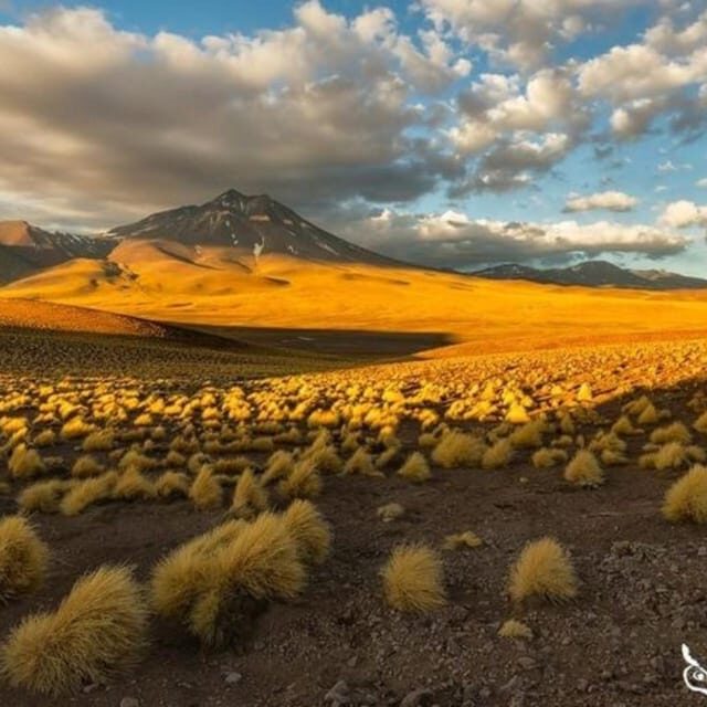 Atacama, Rutas de Los Salares - Who Will Love This Tour?