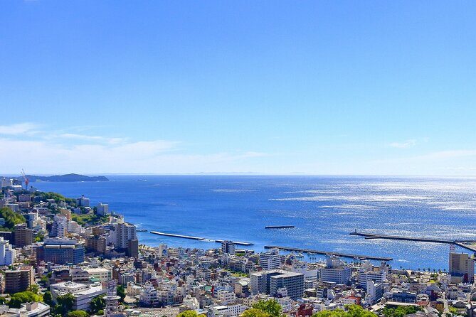 Atami Half-Day Private Tour with Government-Licensed Guide - An In-Depth Look at the Itinerary