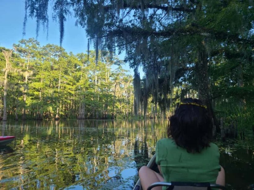 Atchafalaya Basin: 2.5 Hr. Guided Kayak Tour - A Closer Look at the Kayak Tour Experience