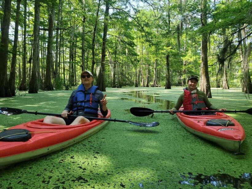 Atchafalaya Basin: 2.5 Hr. Guided Kayak Tour - Who Will Enjoy This Tour?