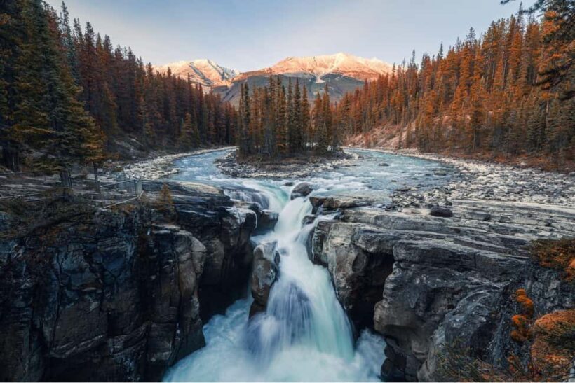 Athabasca Falls/Abraham,Sunwapta Falls, Icefield, Peyto Lake - An Overview of the Tour Experience