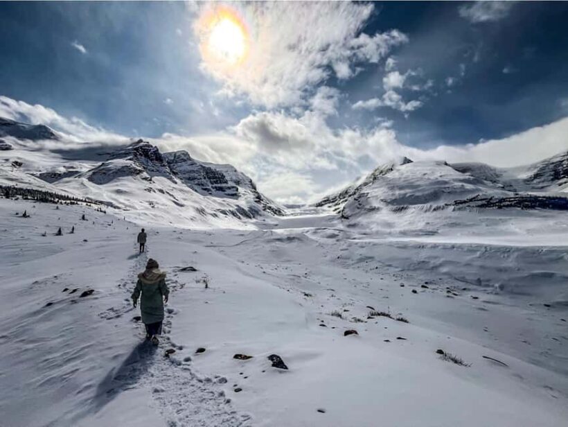 Athabasca Falls/Abraham,Sunwapta Falls, Icefield, Peyto Lake - The Value of This Experience