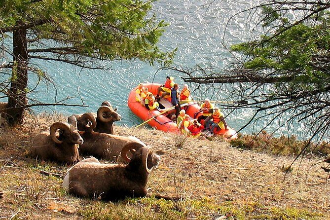 Athabasca River Easy Scenic Raft Trip - Frequently Asked Questions