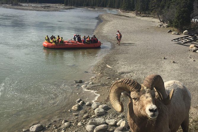 Athabasca River Easy Scenic Raft Trip - Final Thoughts