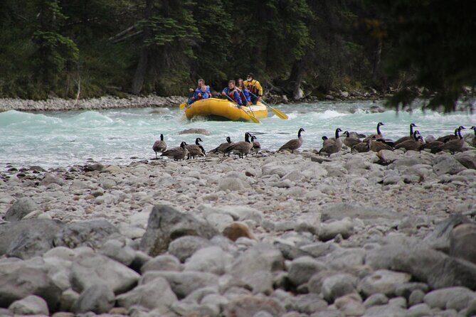 Athabasca River Mile 5 - Pricing and Value