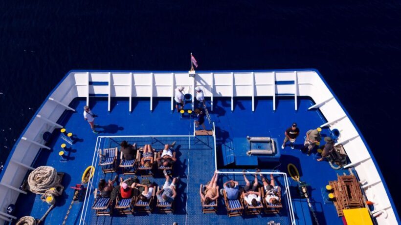Athens: Aegina, Agistri & Metopi Swimming Cruise with lunch - Who Will Love This Tour?