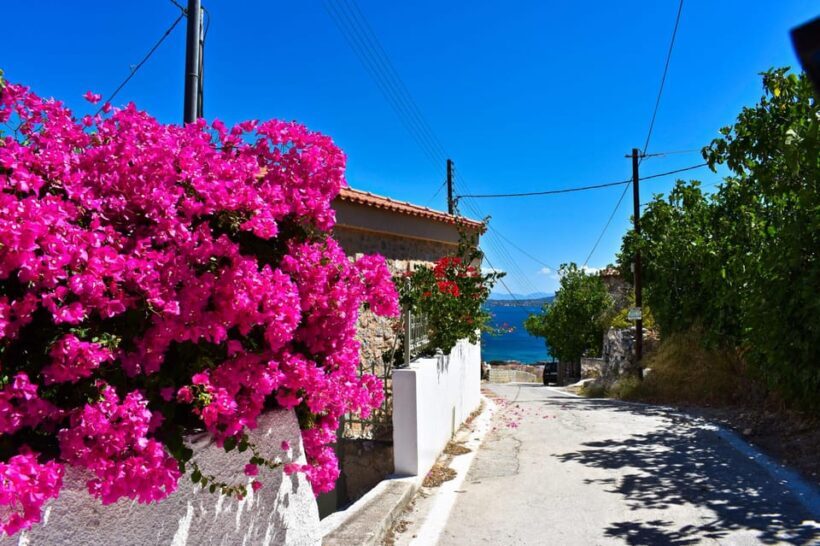 Athens: Agistri, Metopi & Aegina Cruise with Meals & Drinks - Key Points