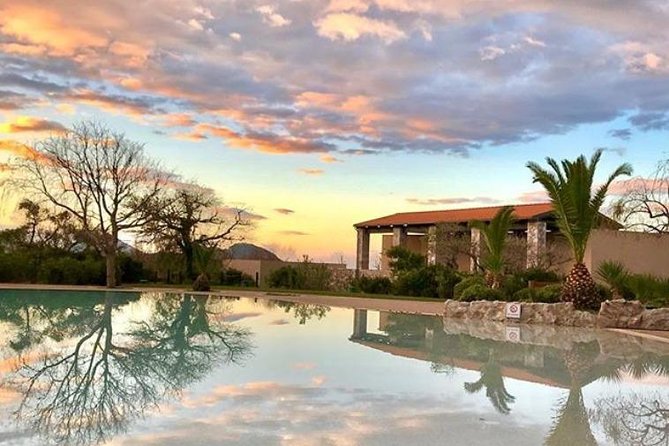 Athens Airport-Costa Navarino - What to Expect During Your Transfer