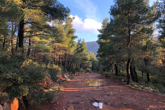 Athens Backcountry Shore Excursion to Parnitha Mountain - A Deeper Look at the Experience