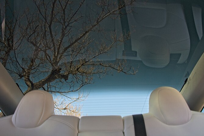 Athens City Highlights Half Day Private Tour with Tesla - What Travelers Say