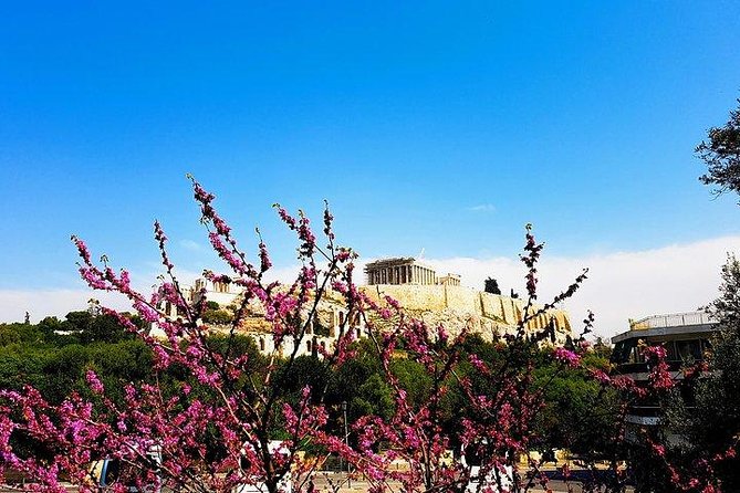 Athens City Private Tour - Local Insights and Recommendations