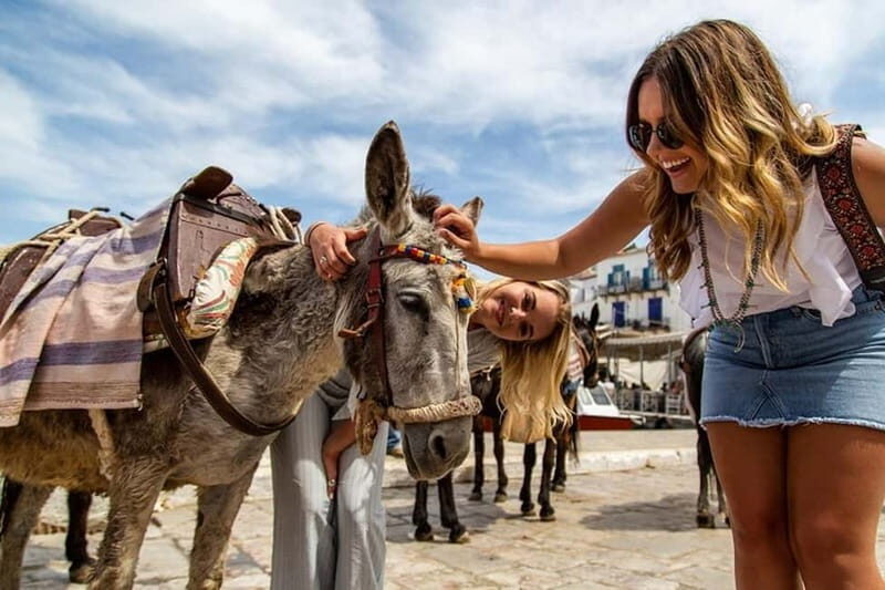 Athens Day Cruise  Since 1965 | Visit Hydra, Poros & Aegina - A Deep Dive into the Experience