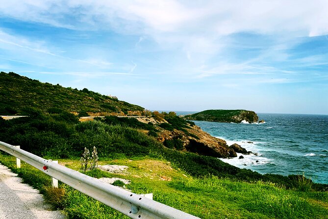 ATHENS OLIVE ESTATE - Olive Oil Workshop with Farm-to-Fork Lunch - An Honest Look at the Athens Olive Estate Tour — Olive Oil Workshop with Farm-to-Fork Lunch