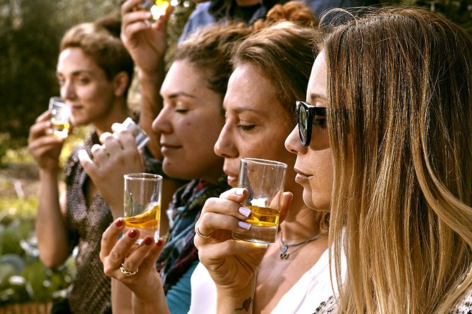 ATHENS OLIVE ESTATE - Olive Oil Workshop with Farm-to-Fork Lunch - Transportation and Logistics