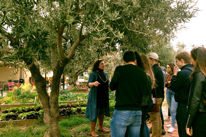 ATHENS OLIVE ESTATE - Olive Oil Workshop with Farm-to-Fork Lunch - Additional Options and Flexibility