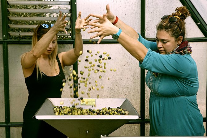 ATHENS OLIVE ESTATE - Olive Oil Workshop with Farm-to-Fork Lunch - Final Thoughts