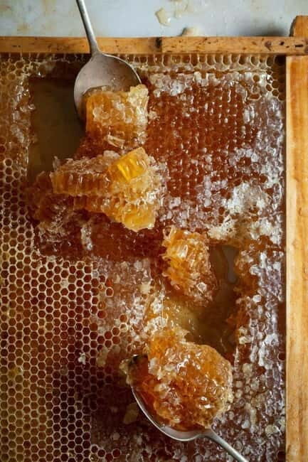 Athens: Premium Greek Honey Tasting - An Introduction to Greek Honey: Why It Matters