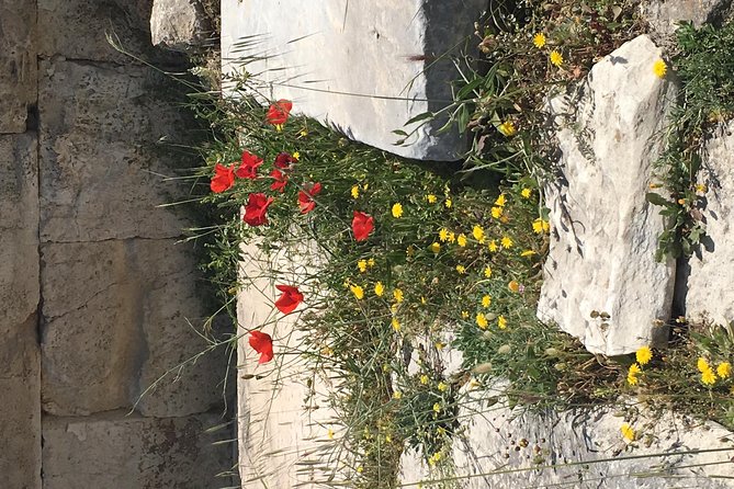 Athens Shore Excursion: Private City Sightseeing and Acropolis Tour - Meeting and Pickup Information: Getting Started