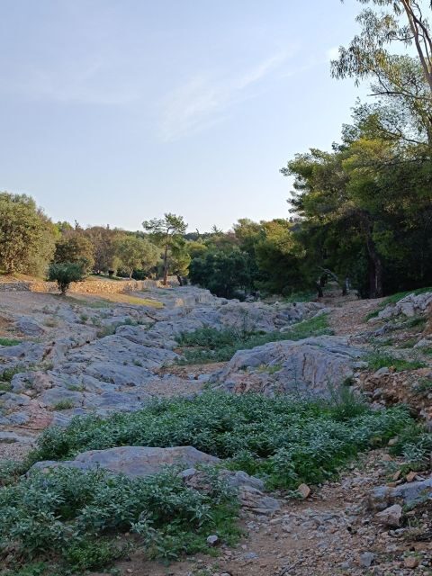 Athens Western Hills Guided Walking Tour - Practical Tips for Enjoying the Tour
