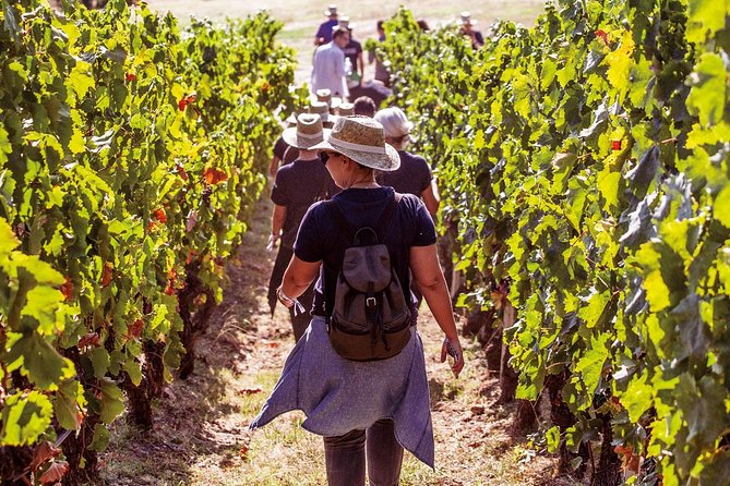 Athens Wine Tour - An Outstanding Full Day Experience For Dedicated Winelovers - Key Points