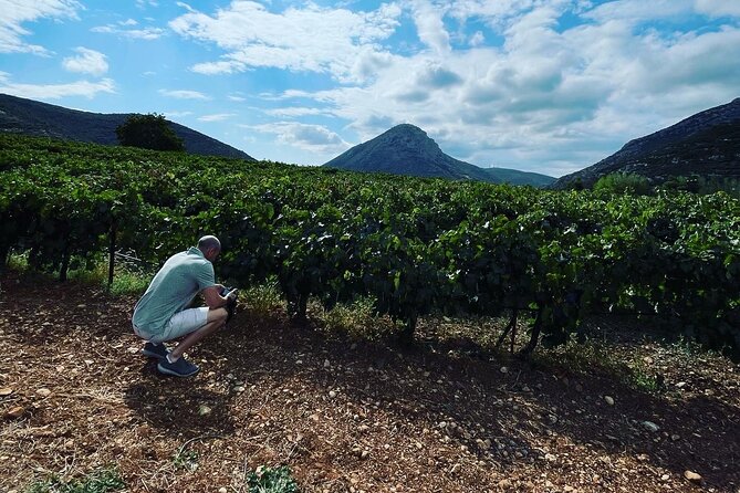 Athens Wine Tour with Wine Expert - A Closer Look at the Tour Experience