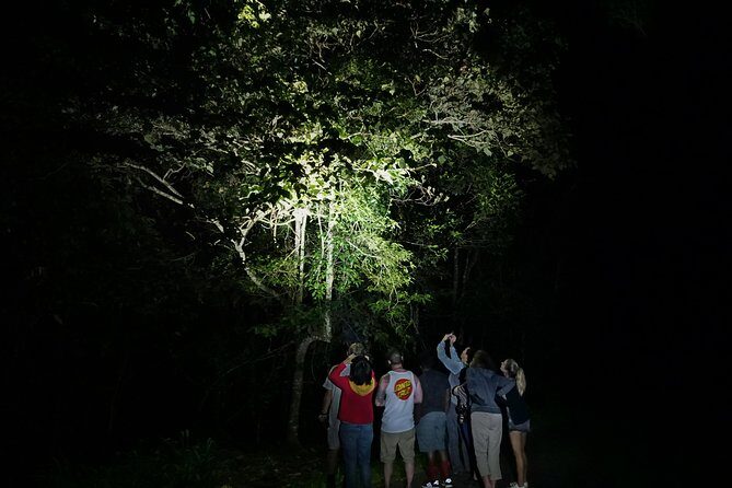 Atherton Tablelands Rain Forest by Night from Cairns - FAQs