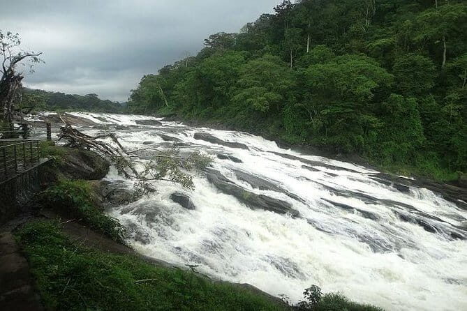 Athirapilly and Vazhachal Falls from Kochi - An Introduction to Kerala’s Waterfall Wonders