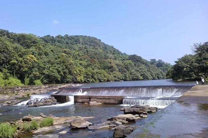 Athirappally & Vazhachal Waterfall Tour with Lunch - The Sum Up