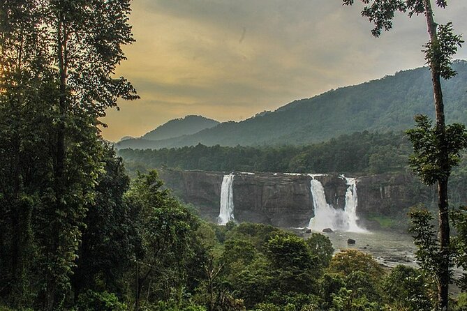 Athirappilly & Vazhachal Waterfalls Private Day Tour from Kochi - Transportation and Pricing: What It Means for You