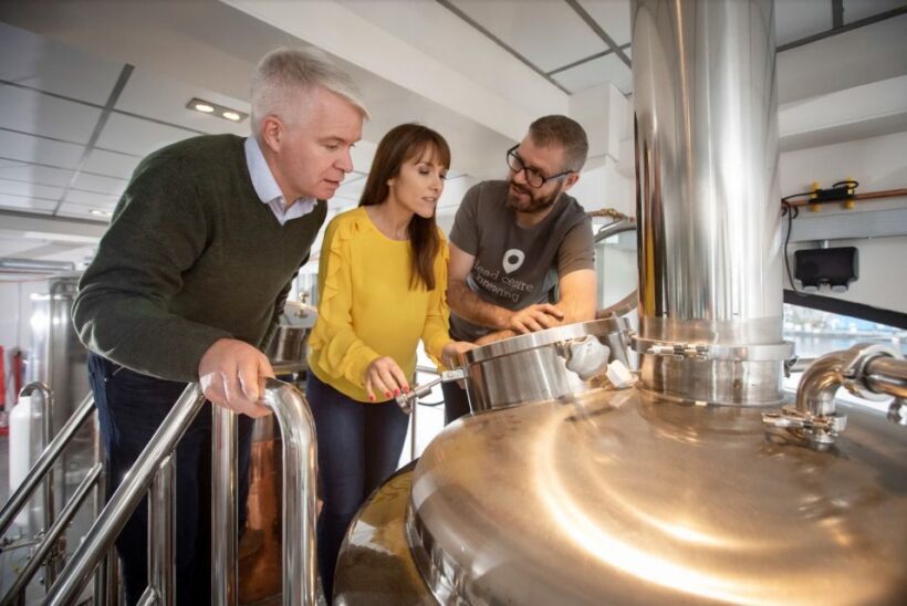 Athlone: Dead Centre Brewing Tour and Craft Beer Tasting - The Sum Up