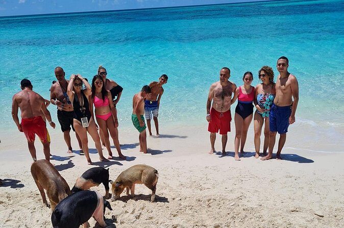 Athol Island Swimming Pigs Half-Day Boat Tour with Lunch - Frequently Asked Questions