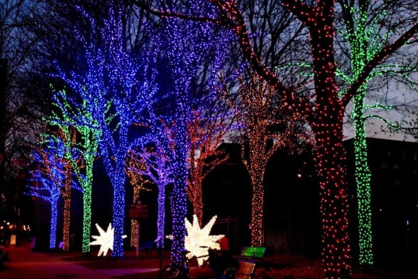 Atlanta: Christmas Private Walking Tour - Key Points