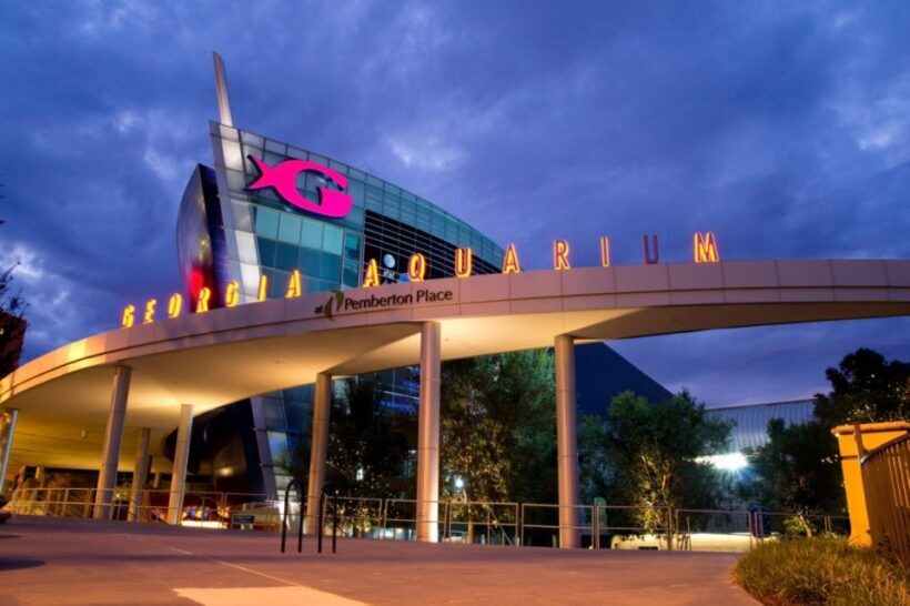 Atlanta: City Lights Night Tour with Photos & Dinner Stop - Final Words: Is It Worth It?