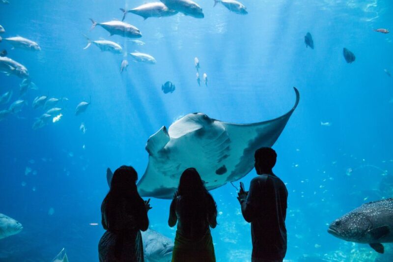 Atlanta CityPASS®: Save up to 49% at 5 Top Attractions - The Authentic Experience