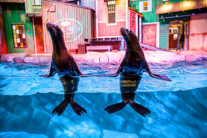 Atlanta: Georgia Aquarium Skip-the-Box-Office Entry Ticket - Interactive and Educational Experiences