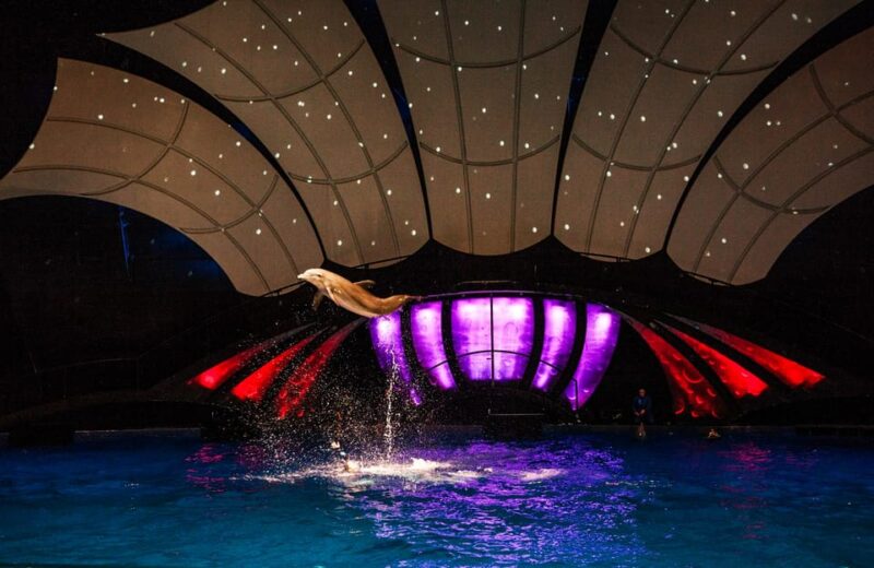 Atlanta: Georgia Aquarium Skip-the-Box-Office Entry Ticket - Who Will Love This Experience?