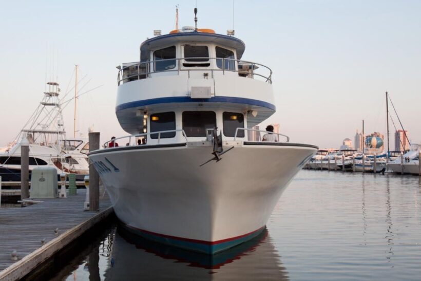 Atlantic City: Dolphin Watching Ocean Cruise Adventure - The Sum Up
