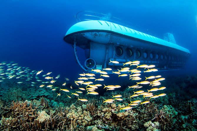 Atlantis Submarine from Kona Beach - The Value, Pricing, and Additional Details