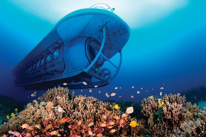 Atlantis Submarine from Kona Beach - Who Should Consider This Tour?