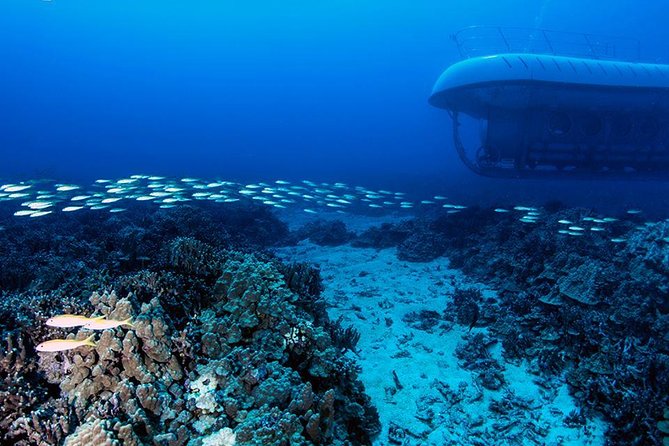 Atlantis Submarine from Kona Beach - The Sum Up: Why It’s a Good Choice