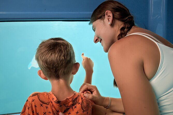 Atlantis Submarine Private Tour in Bridgetown - Introduction